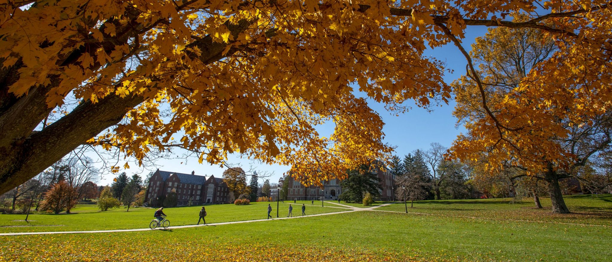 Apply to UConn – Undergraduate Admissions