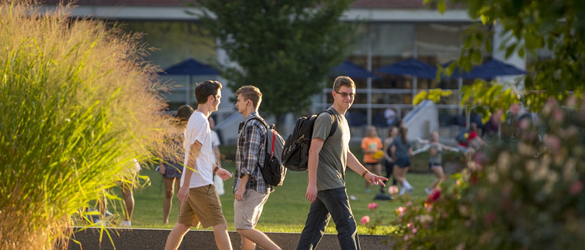 Storrs – Main Campus – Undergraduate Admissions