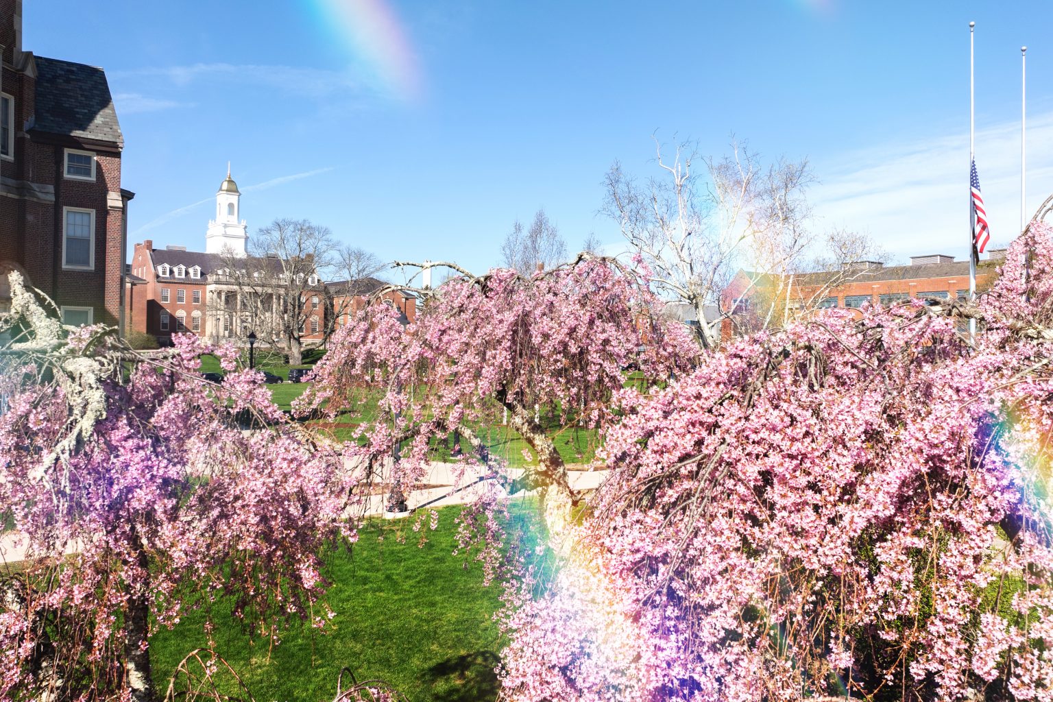 UConn Bound Days – Undergraduate Admissions